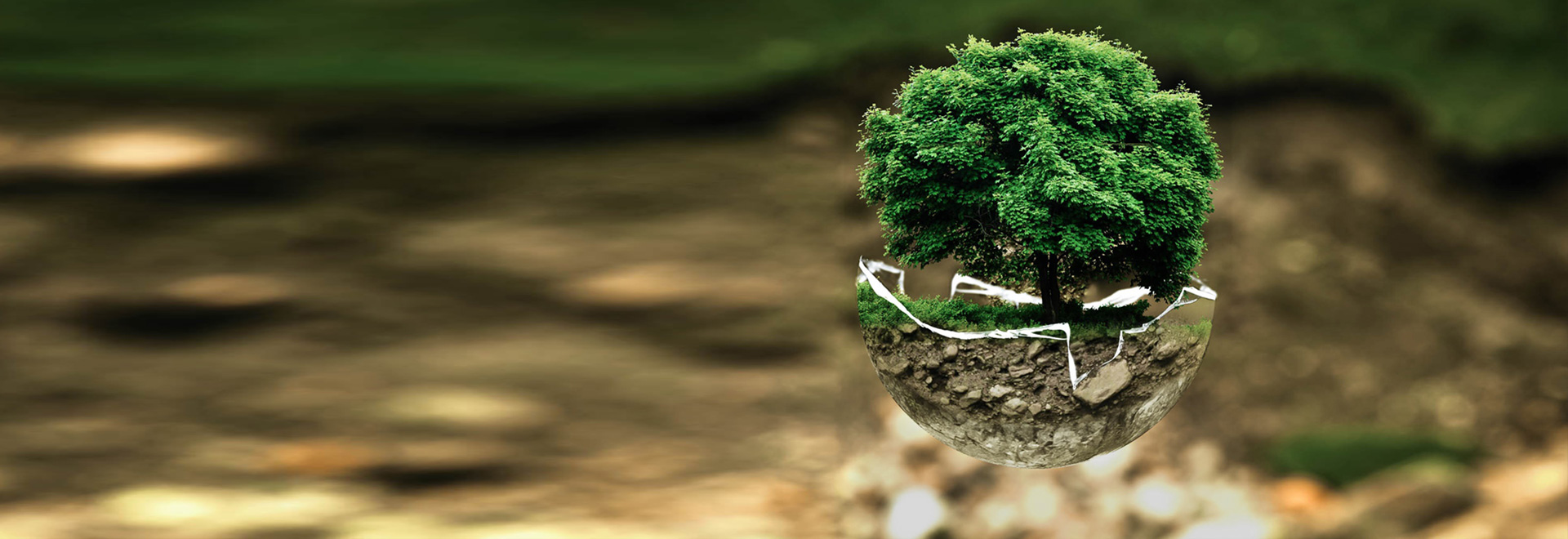 ERC Texas – Environmental & Construction Services